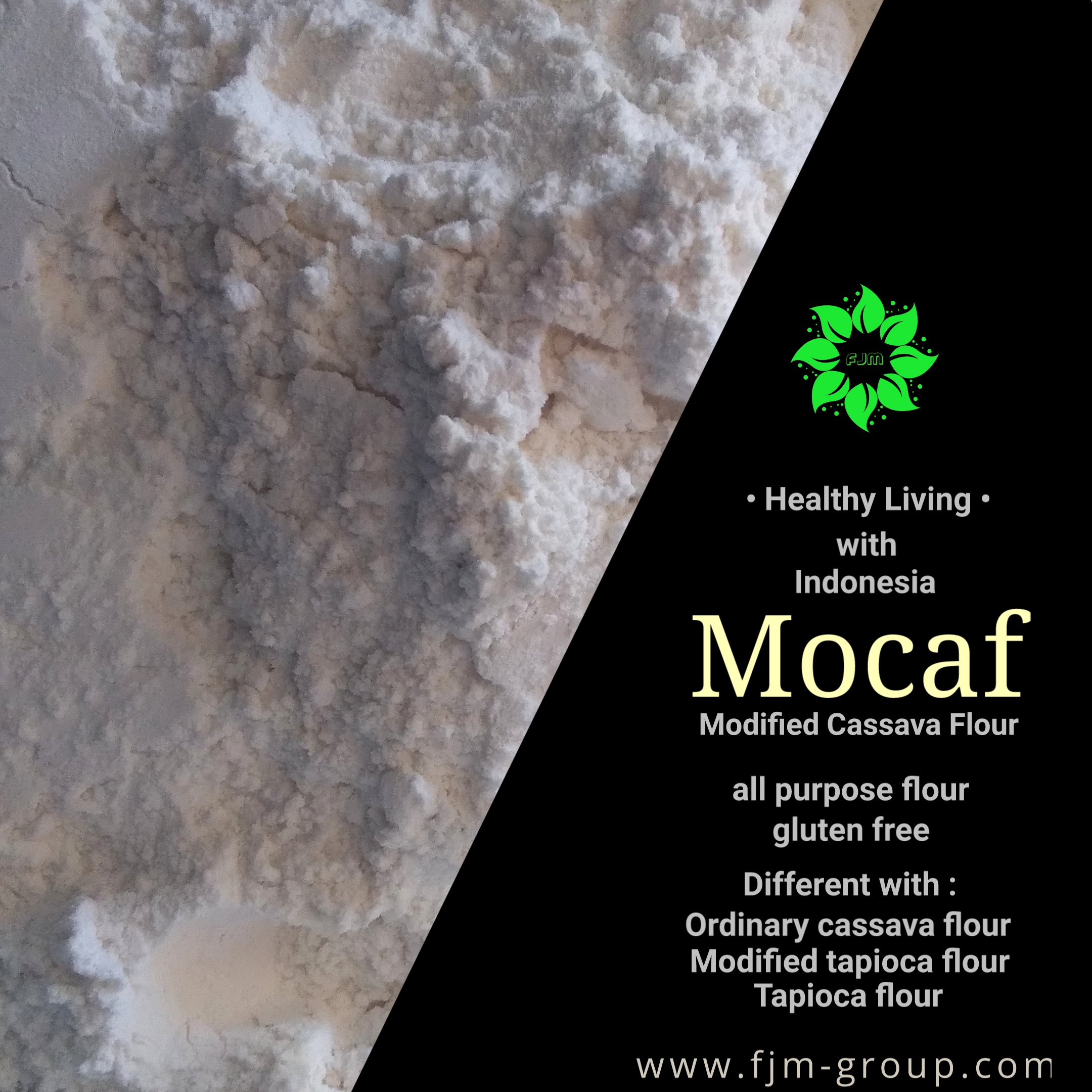 Modified Cassava Flour ( Mocaf ) | Inaexport