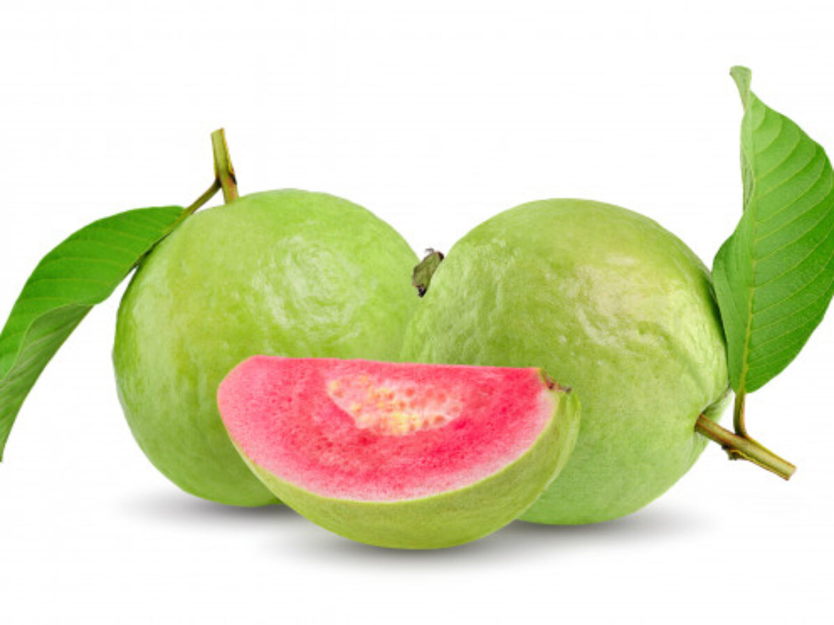 Apple Guava | Inaexport