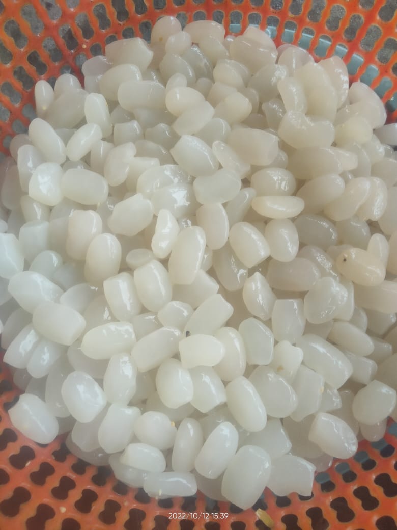 Kaong/Kolang Kaling/Sugar Palm Fruit | Inaexport