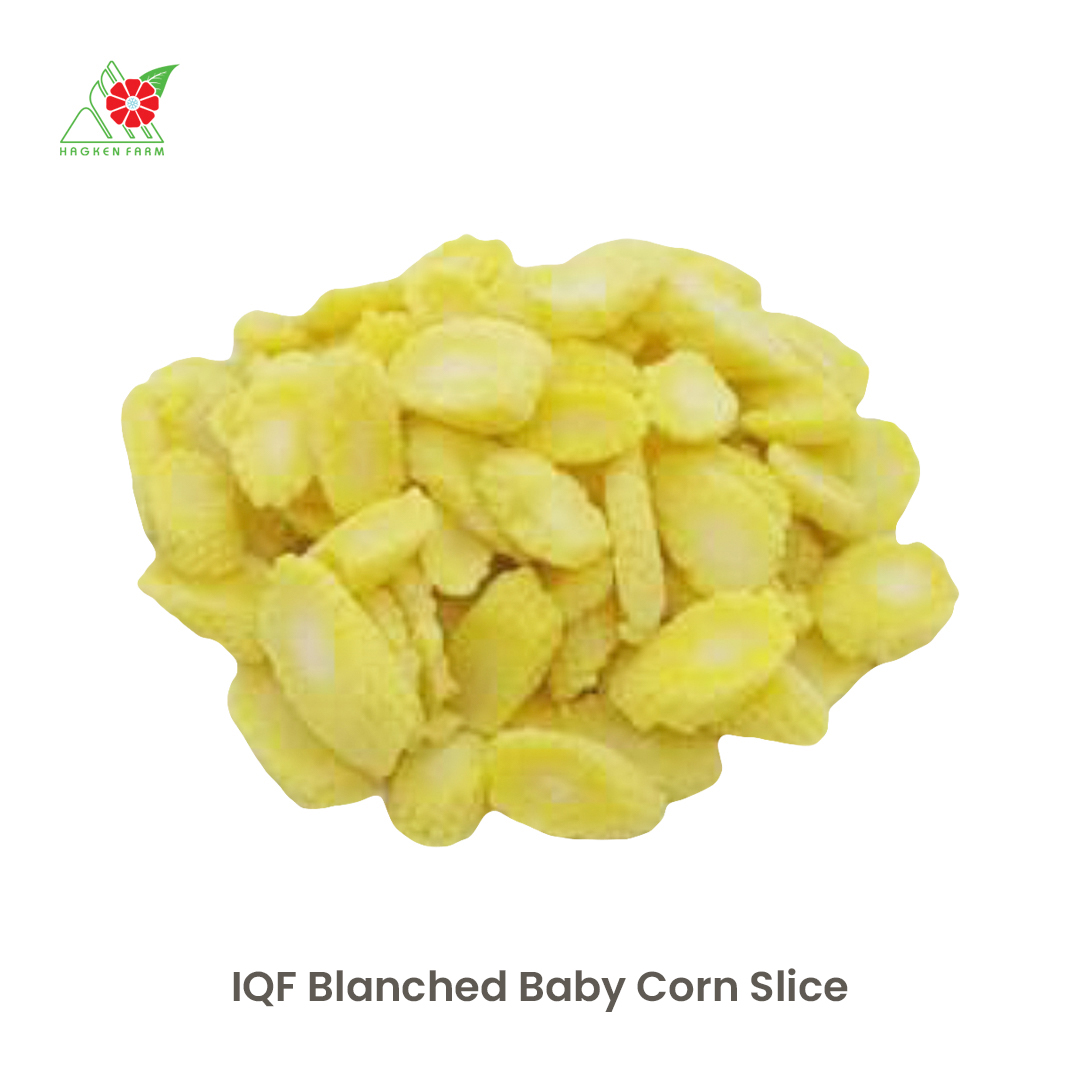 IQF Baby Corn Slice | Inaexport