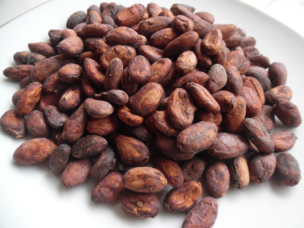 Fermented Fine Cocoa Beans (Criollo) Grade 1-AA | Inaexport