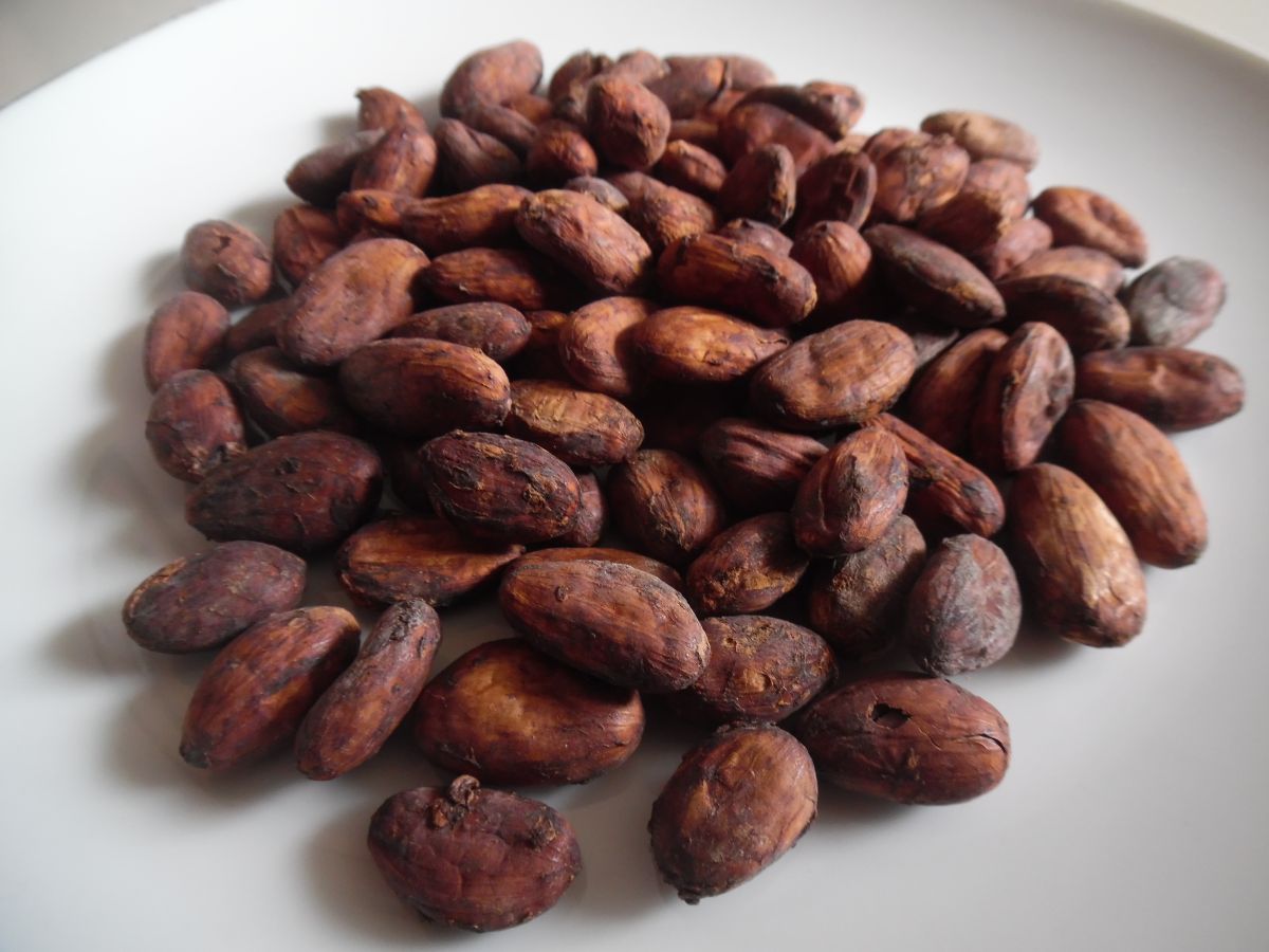 Fermented Fine Cocoa Beans (Criollo) Grade 1-A | Inaexport