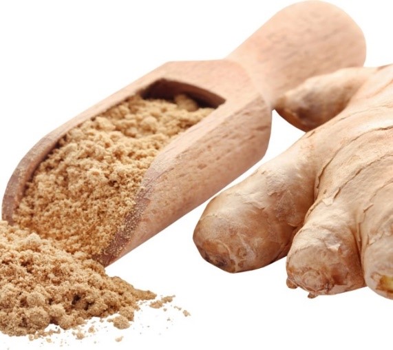 GINGER ELEPHANT POWDER | Inaexport