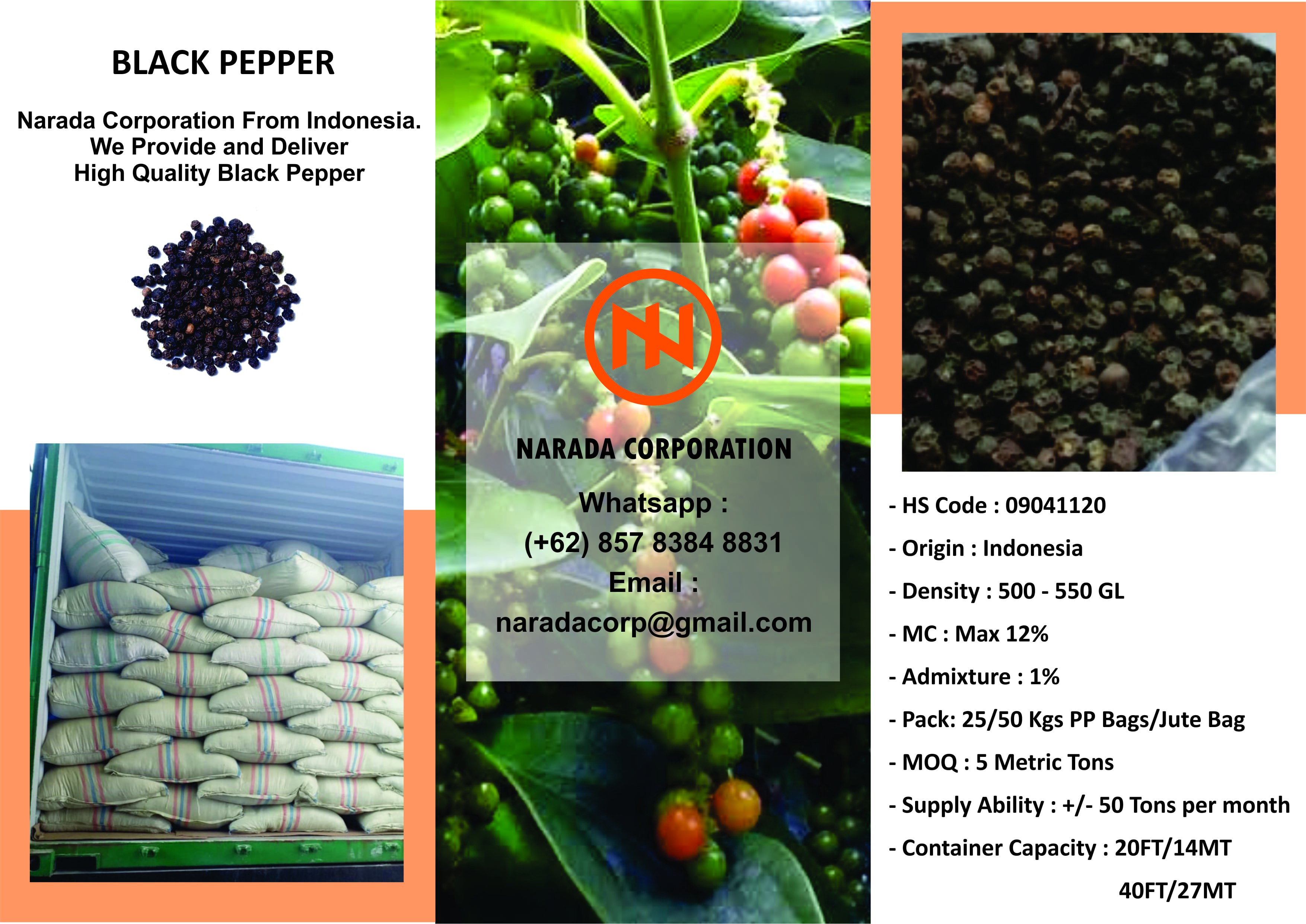 BLACK PEPPER | Inaexport
