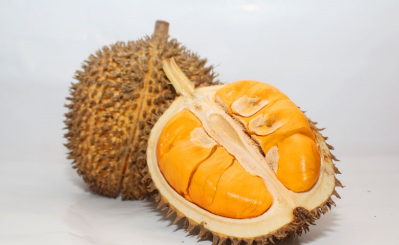Lay Durian | Inaexport
