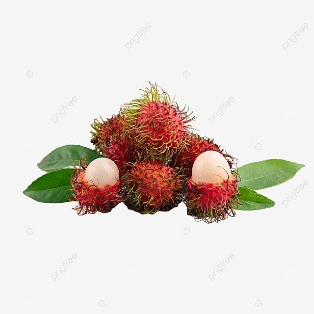 Acehnese Rambutan | Inaexport