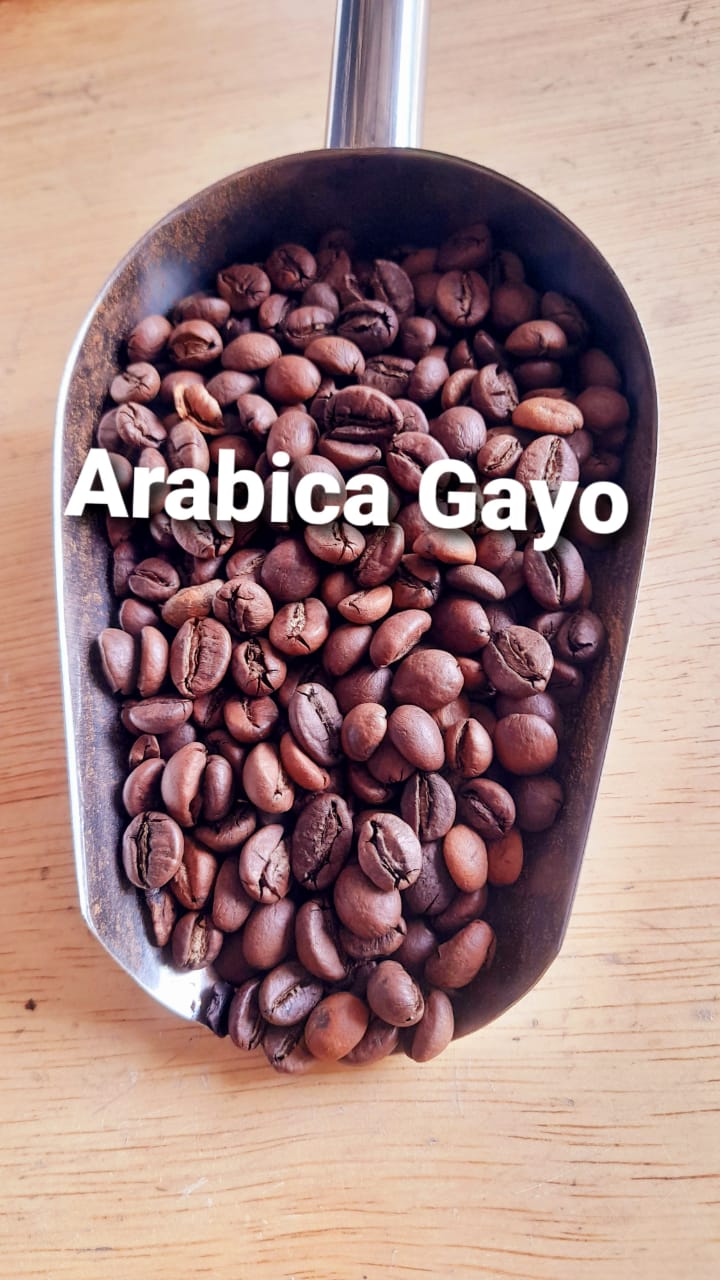 Roasted Coffee Beans Arabica Gayo | Inaexport