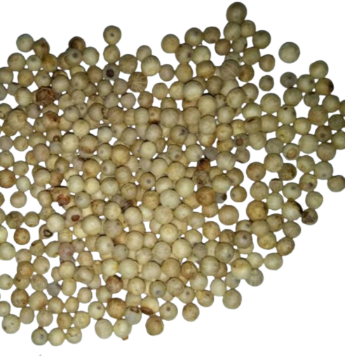 White Pepper / Black pepper | Inaexport