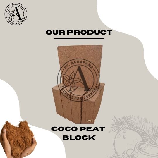 Coco Peat / Coir Pith 5 Kgs BLOCK | Inaexport