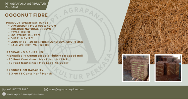 Coconut Fiber / Coco Fibre | Inaexport