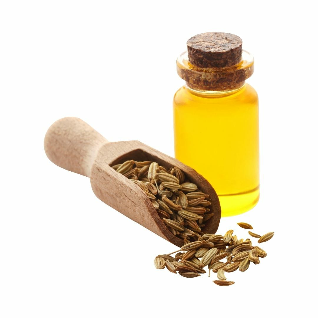 Fennel Oil | Inaexport