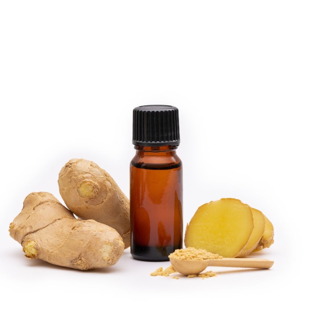 Ginger Oil | Inaexport