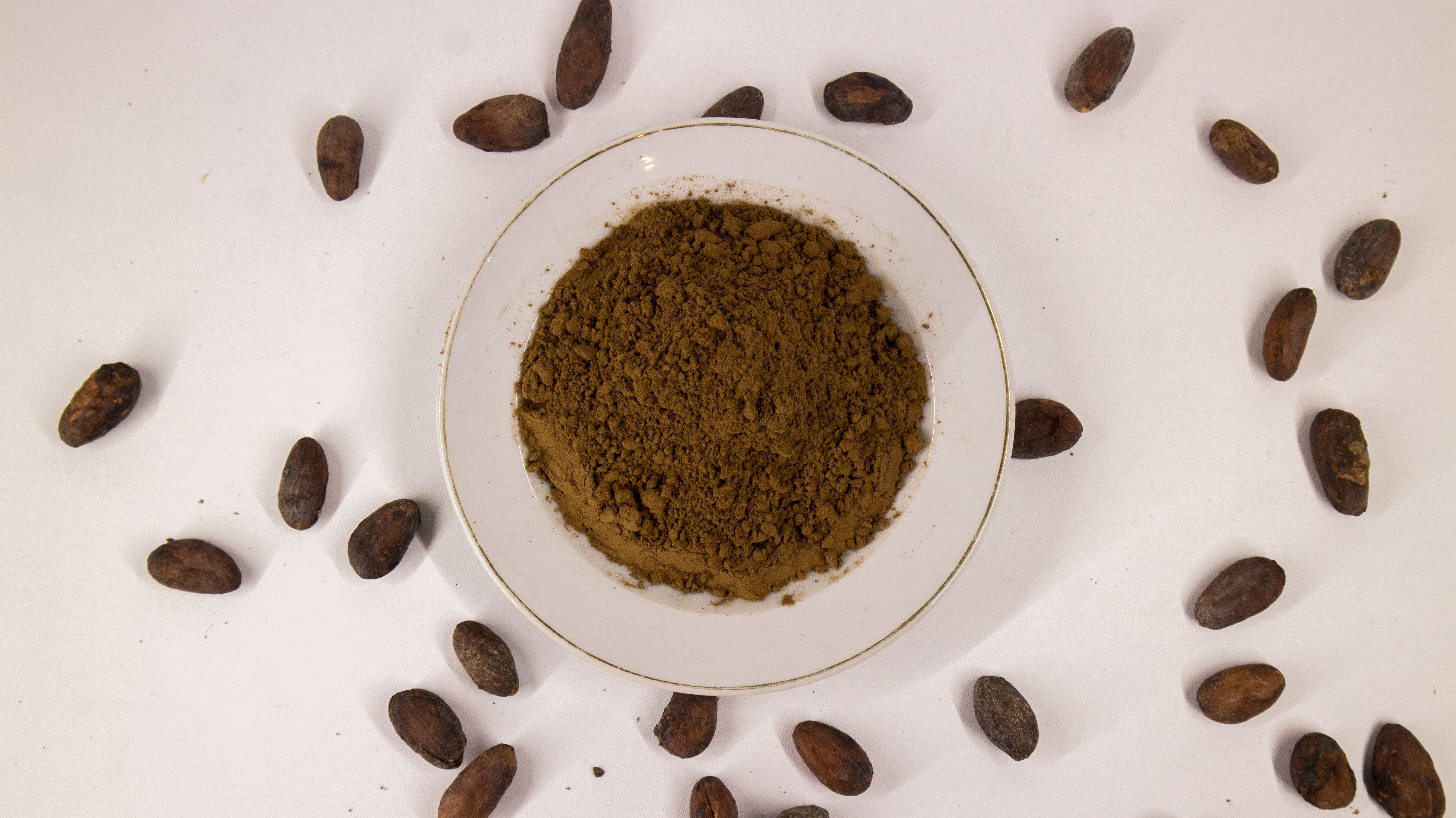 Cartenz Cocoa High Quality Natural Cocoa Powder | Inaexport