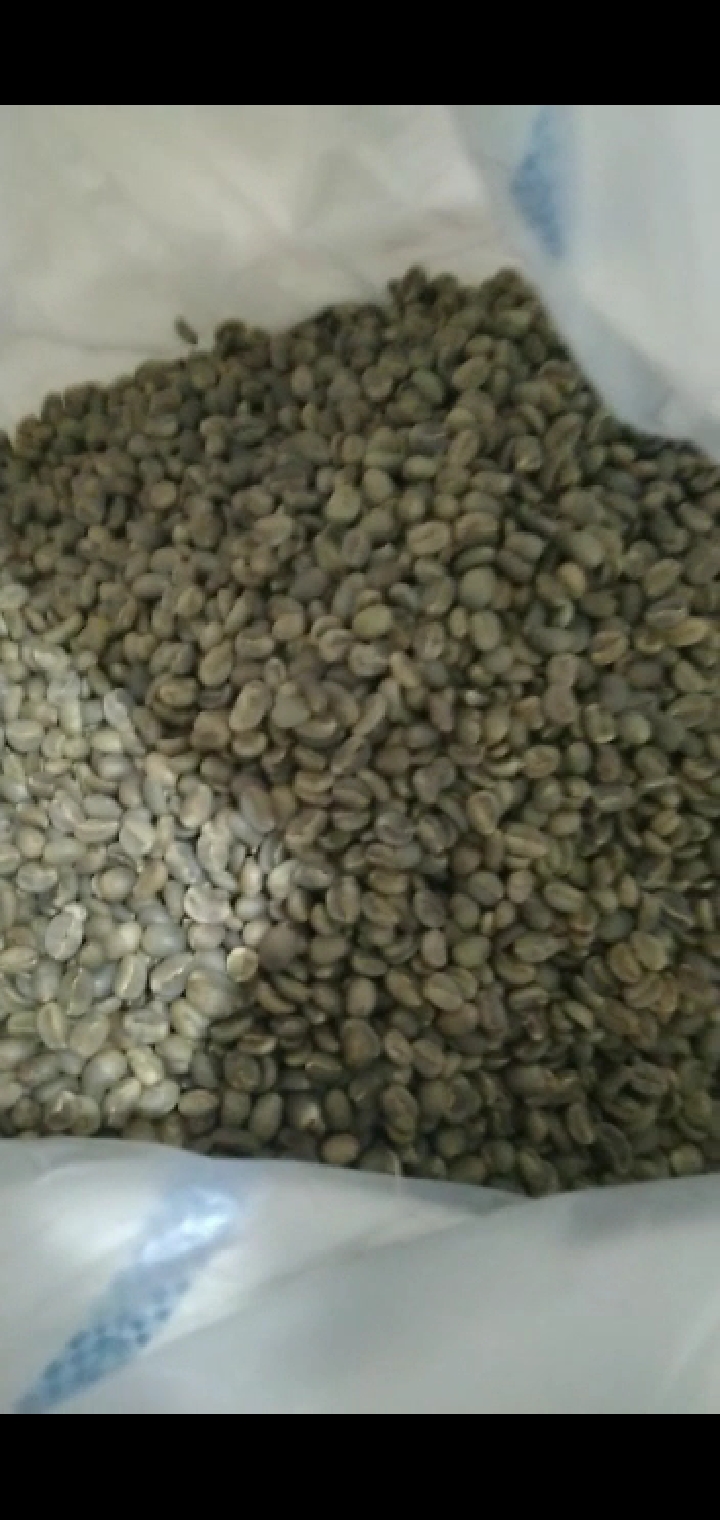 java arabica green bean | Inaexport