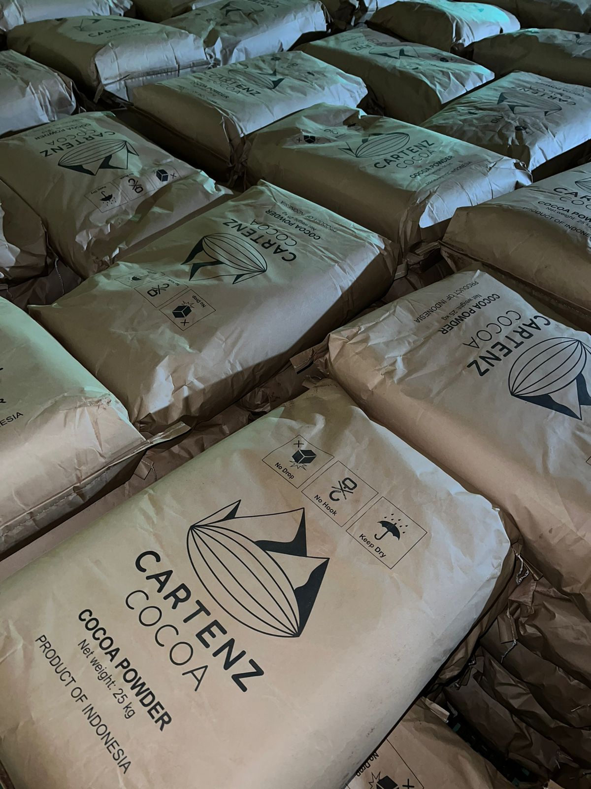 Cartenz Cocoa Premium Quality Alkalized Cocoa Powder | Inaexport