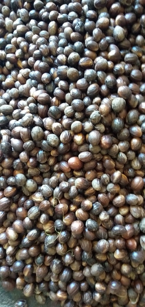 Legendary Series Coffee | Inaexport