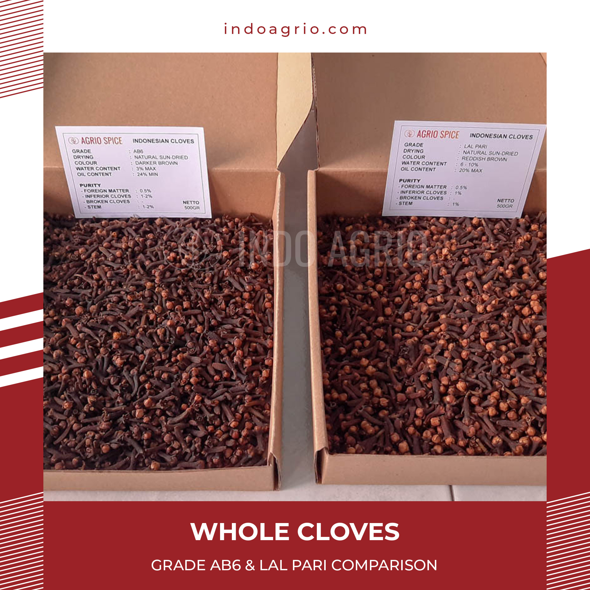 Cloves - Lal Pari | Inaexport
