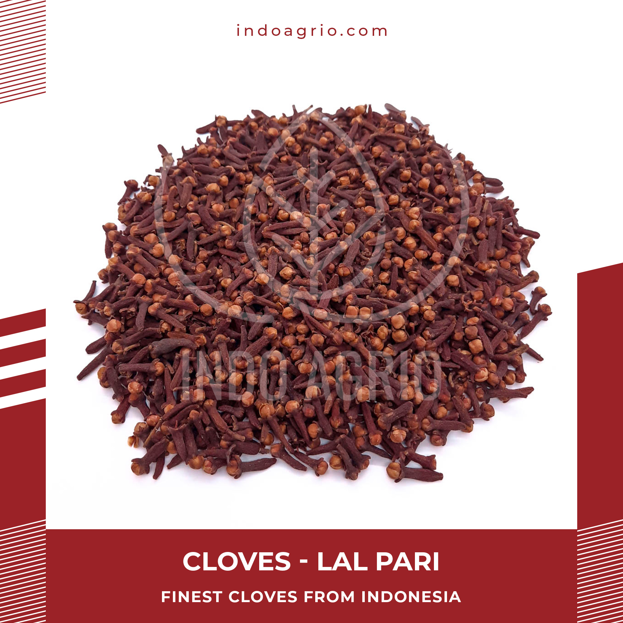 Cloves - Lal Pari | Inaexport