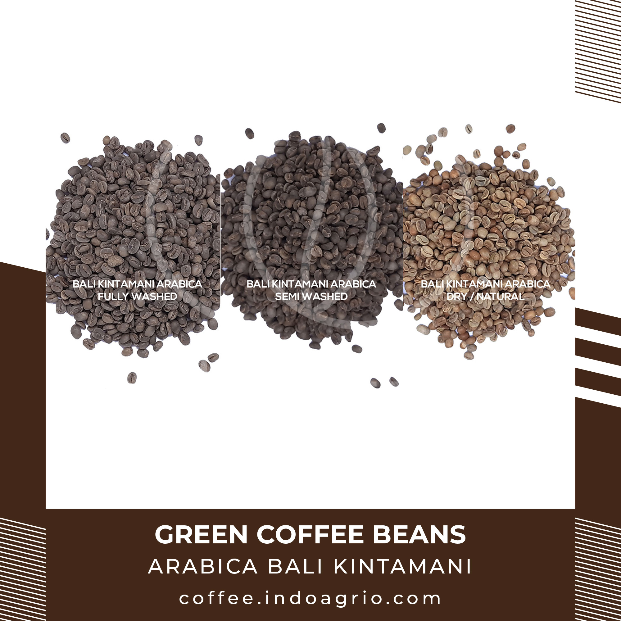 Coffee Beans - Arabica Bali Kintamani | Inaexport