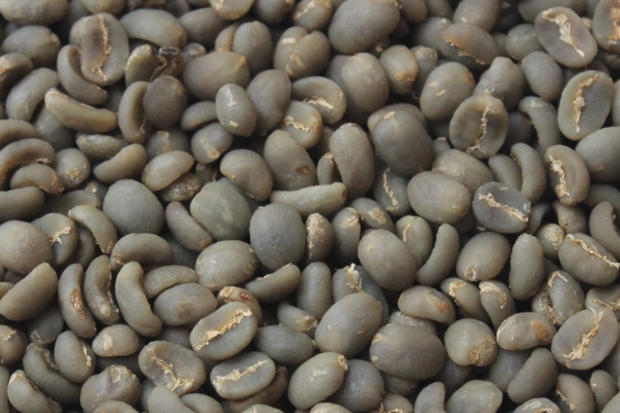 Aceh Gayo Arabica Coffee Specialty | Inaexport
