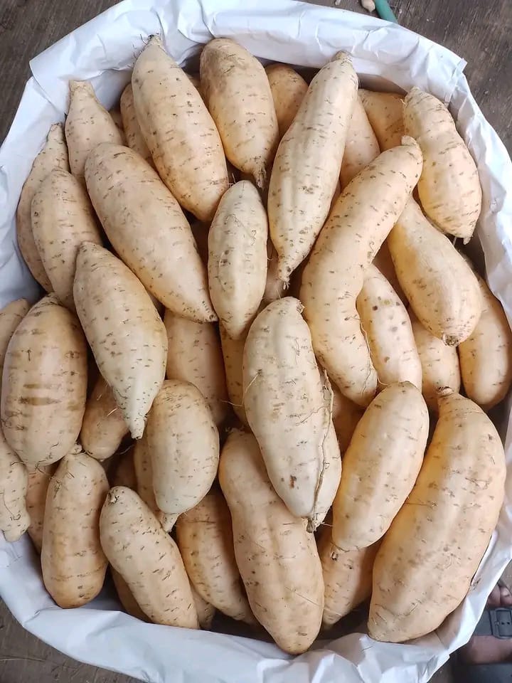 Dried Shredded of Taro Leaves | Inaexport
