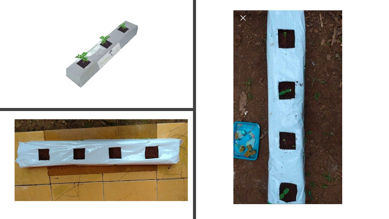 Coco Peat Coir Growbags Slab | Inaexport