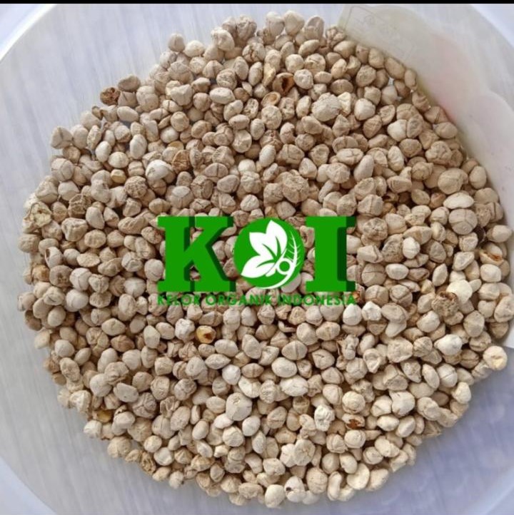 KERNEL SEEDS | Inaexport