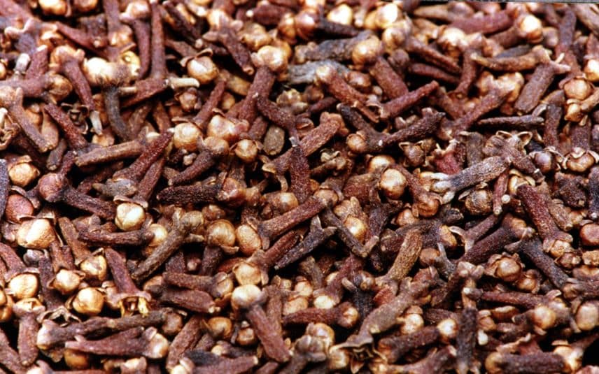 Cloves / Cengkeh | Inaexport