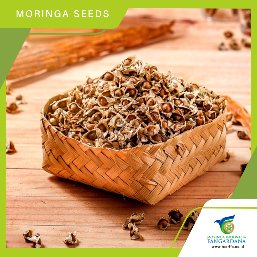Moringa Seeds | Inaexport