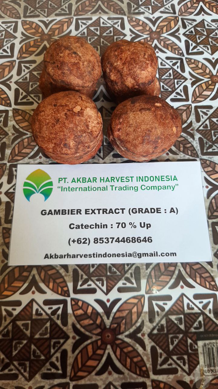 Gambier Extract | Inaexport