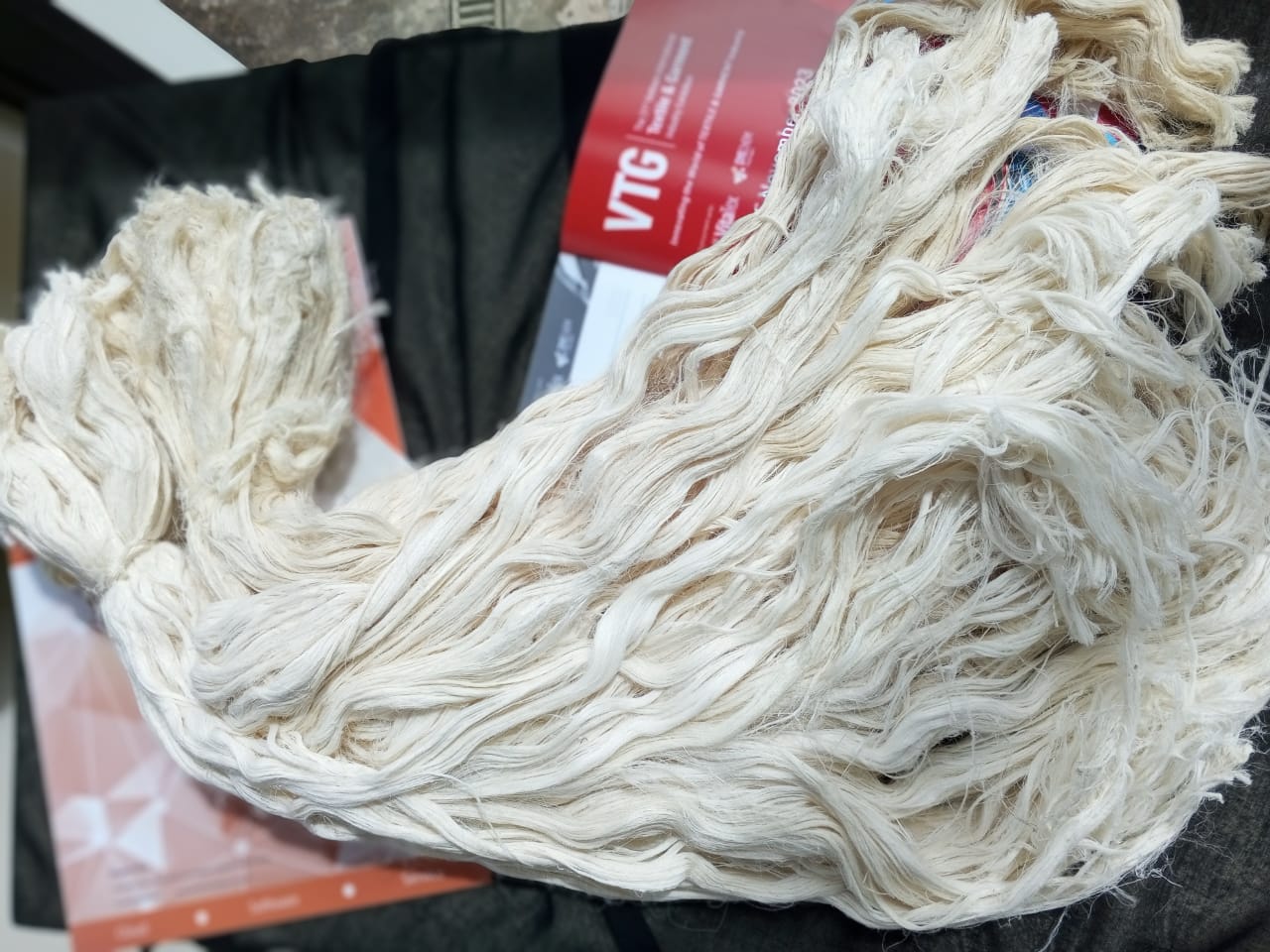 Pineapple leaf fiber / Pineapple leaf fiber (Palf) | Inaexport