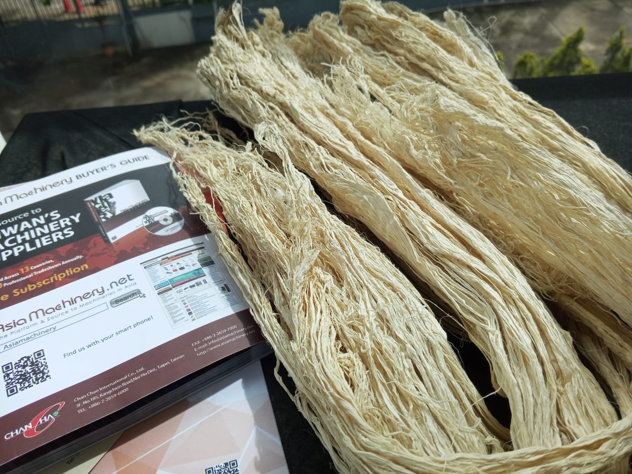 Pineapple leaf fiber / Pineapple leaf fiber (Palf) | Inaexport