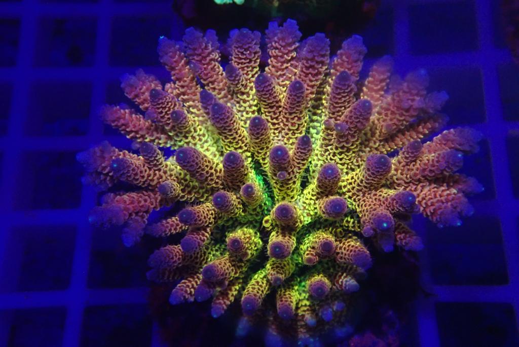 301 Moved Permanently