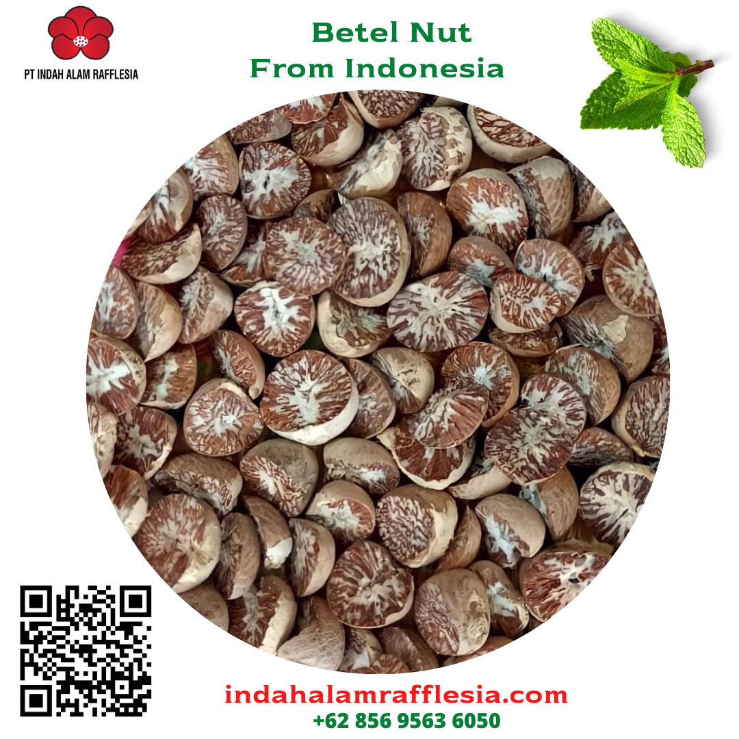 betel nuts or areca nuts | Inaexport