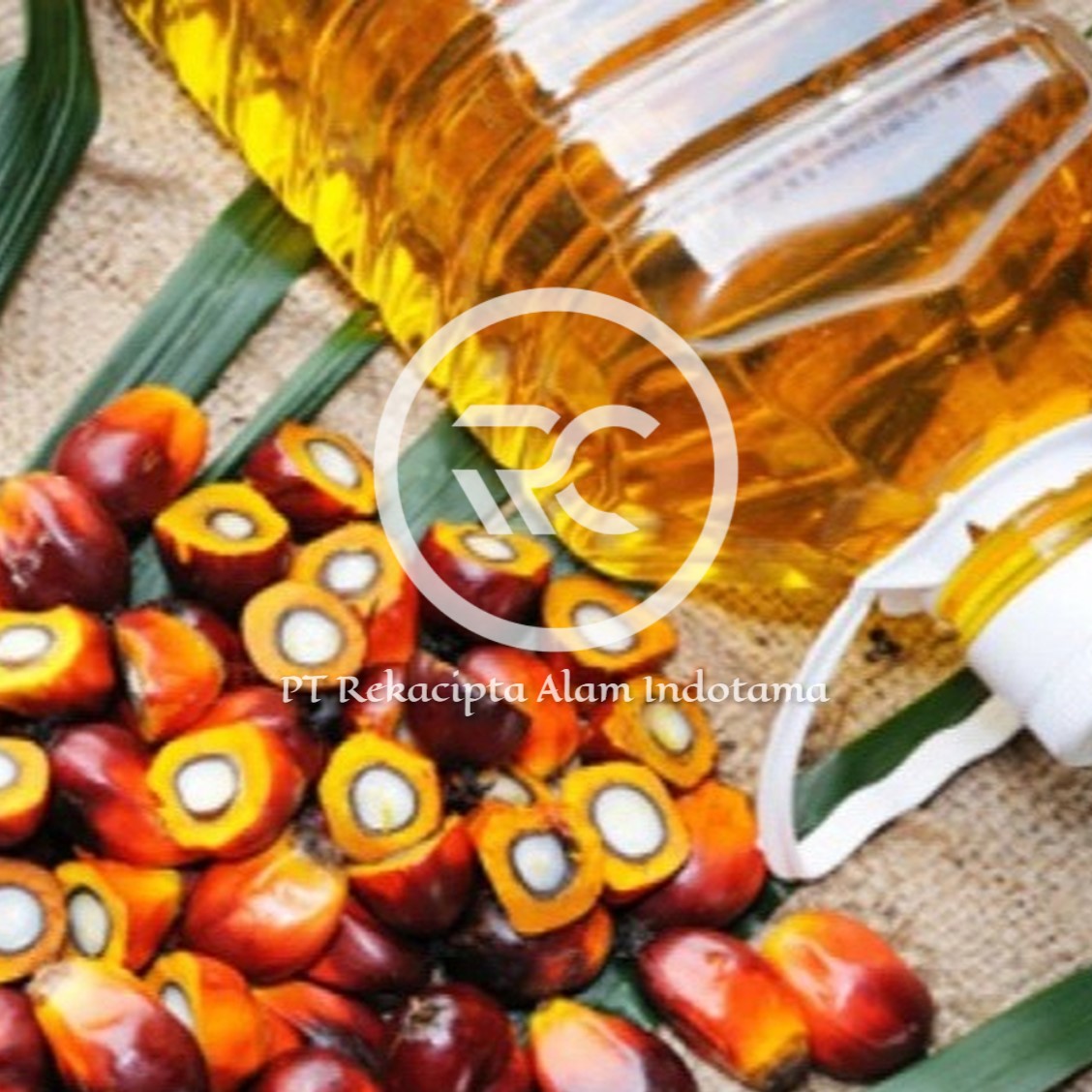 REKACIPTA ALAM INDOTAMA | Inaexport