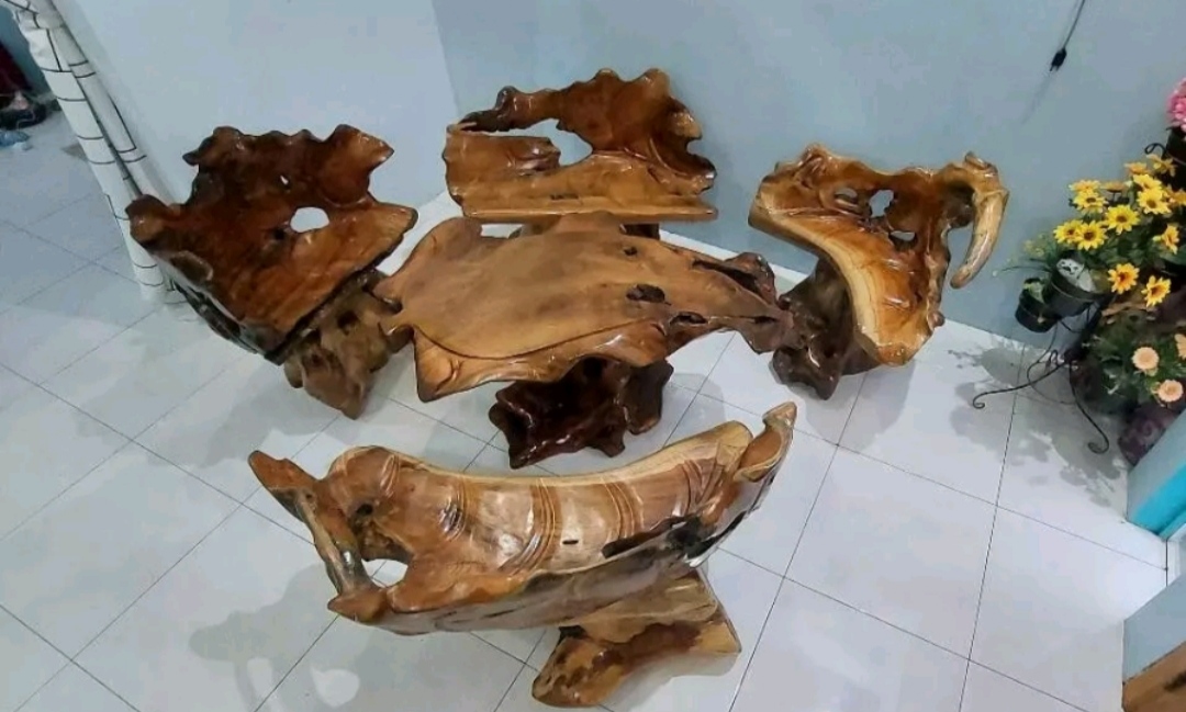 teak wood root chair set | Inaexport