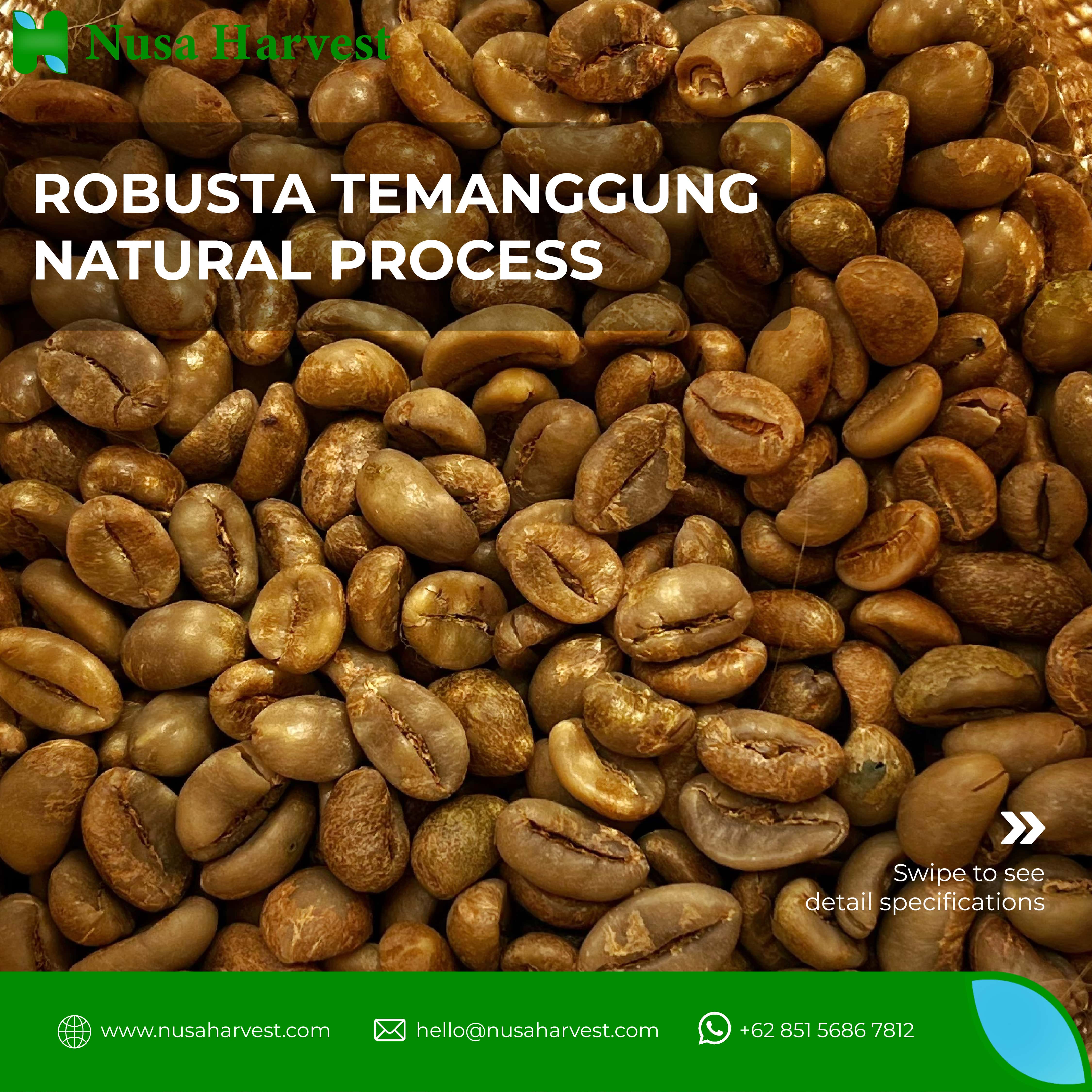 Robusta Coffee Green Beans Temanggung Java - Natural | Inaexport