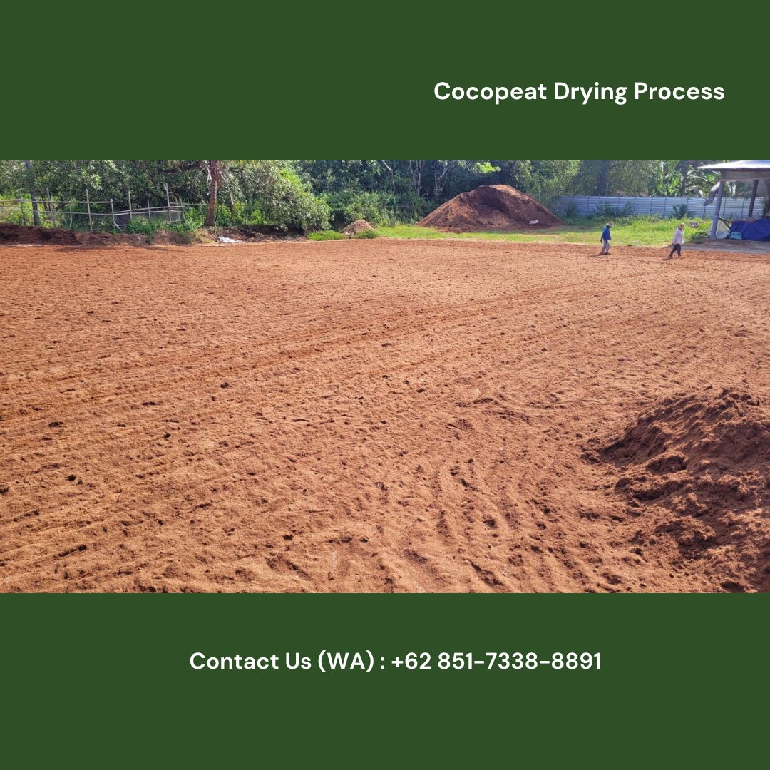 Cocopeat Cocopith Coir Peat Coir Peat | Inaexport