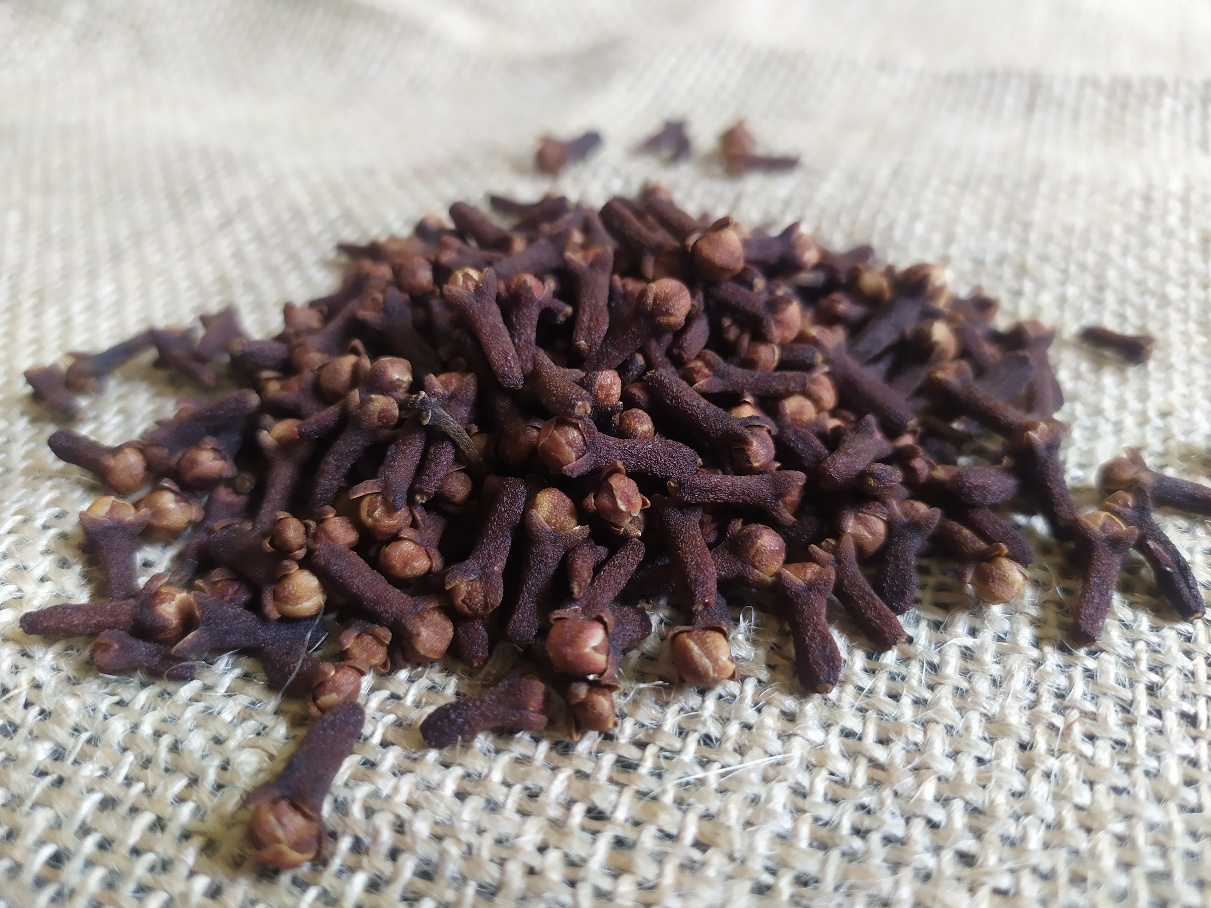 Whole Dried Cloves (Indonesian Cloves) | Inaexport