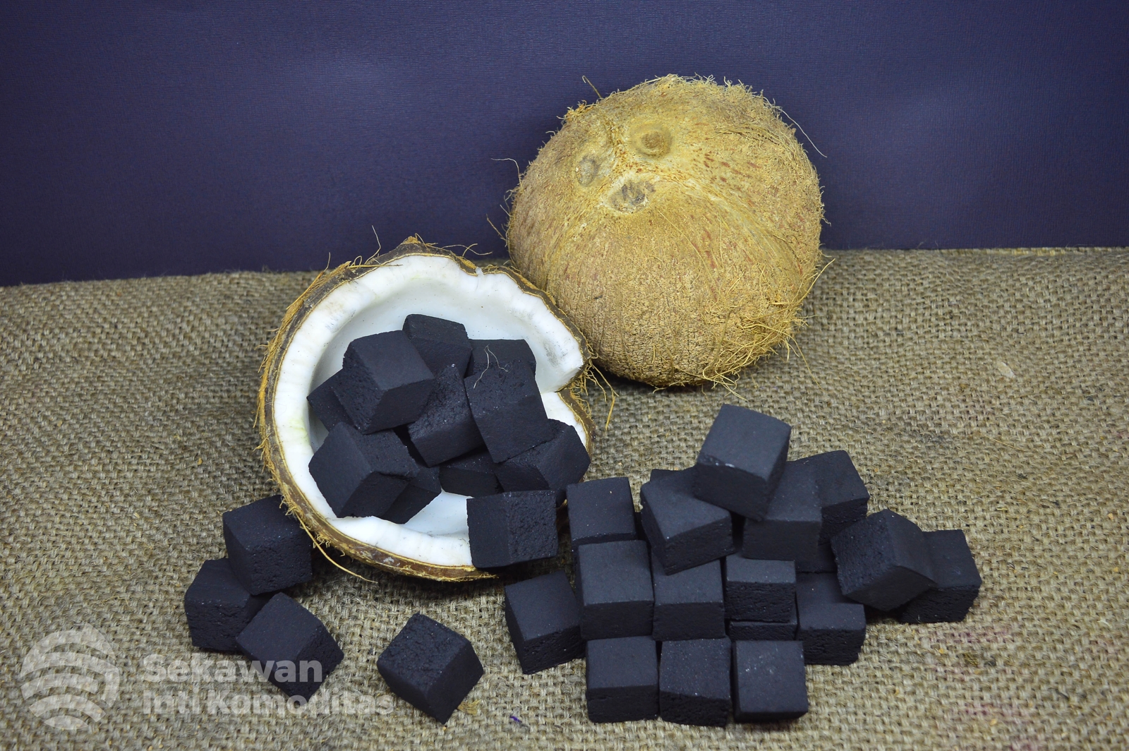 Premium Coconut Charcoal Briquettes | Inaexport