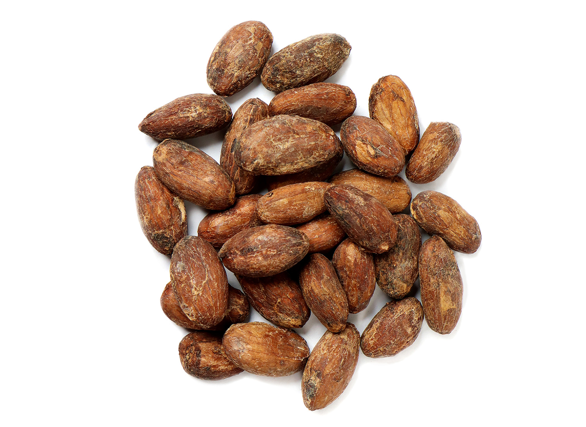 Cocoa Beans | Inaexport