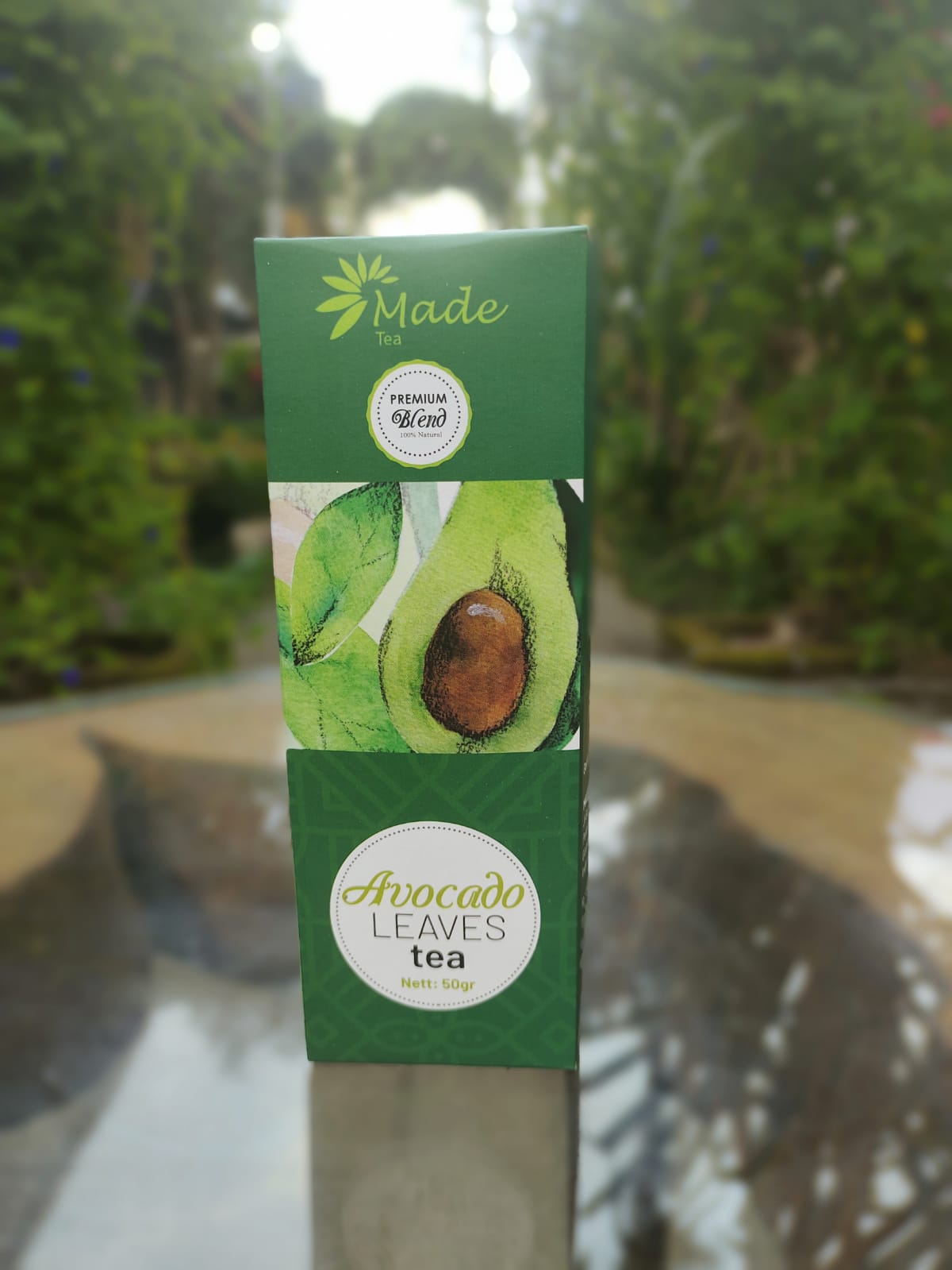 Avocado Leaf Tea | Inaexport