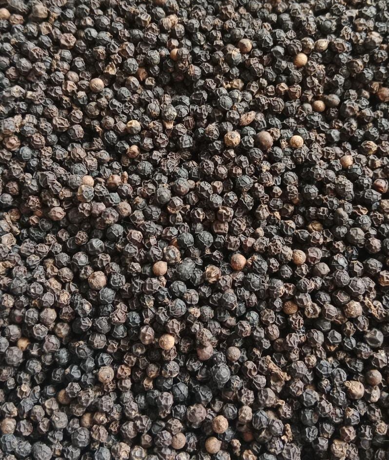 Black Pepper | Inaexport