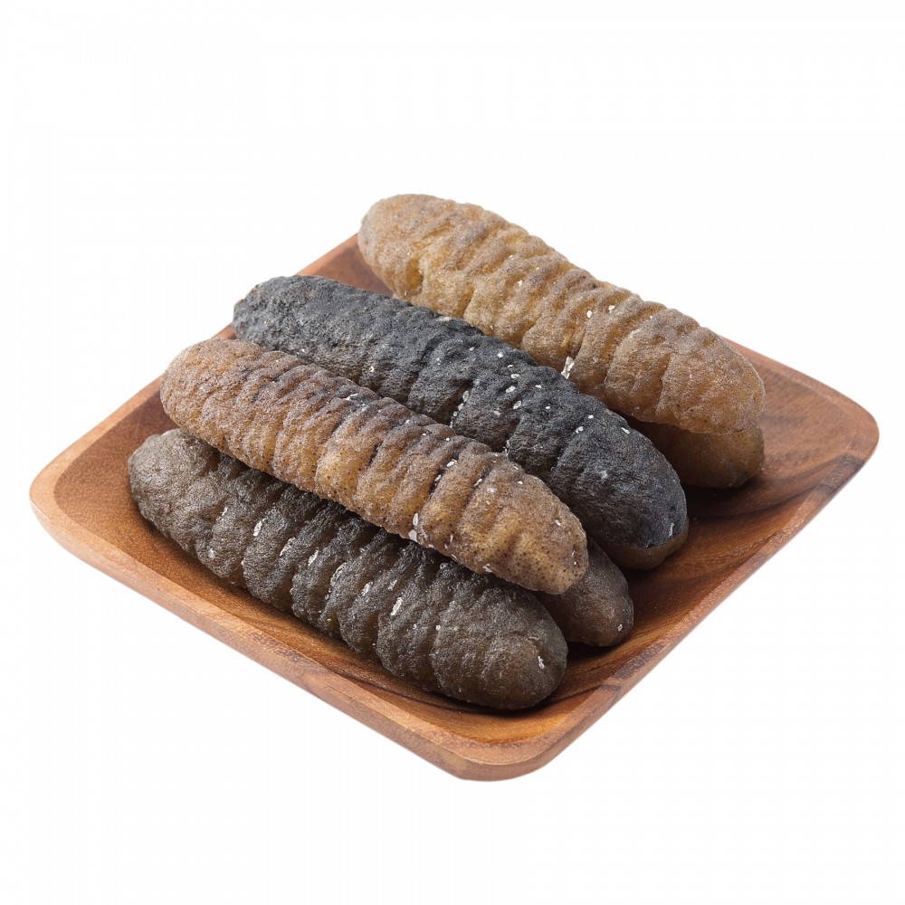 WILD SANDFISH SEA CUCUMBER | Inaexport