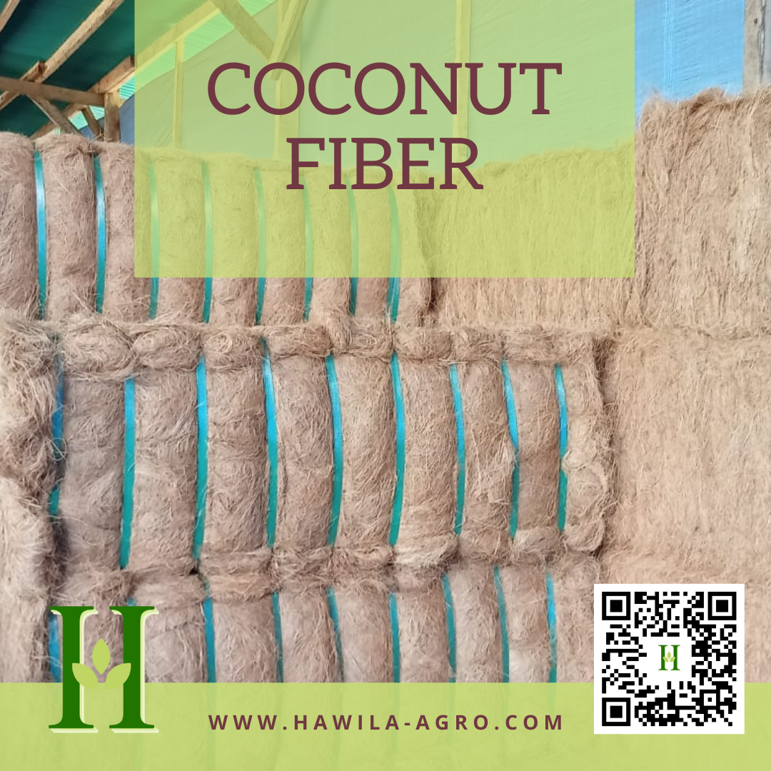 Coconut Fiber / Cocofiber | Inaexport