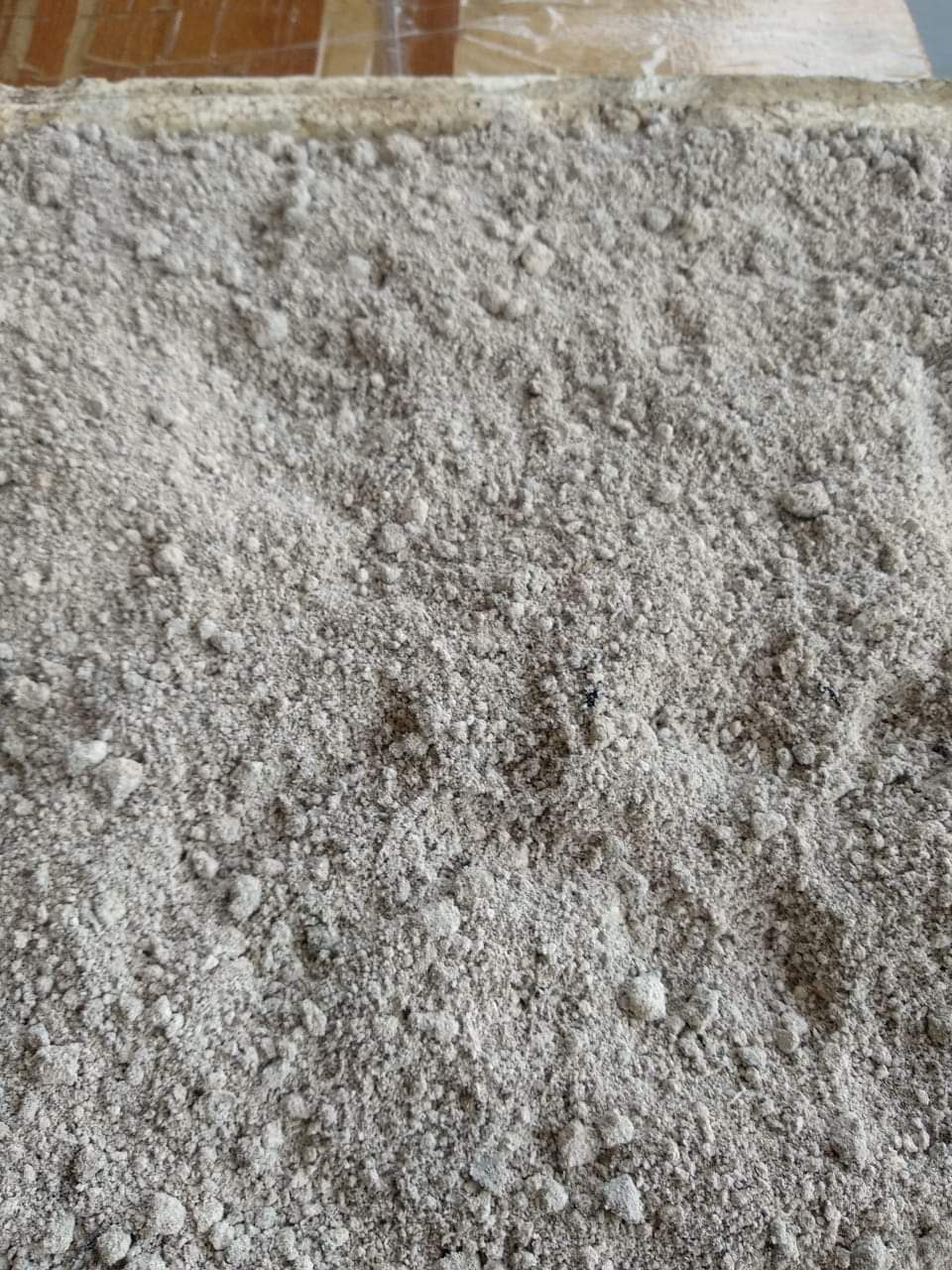 Palm Bunch Ash | Inaexport