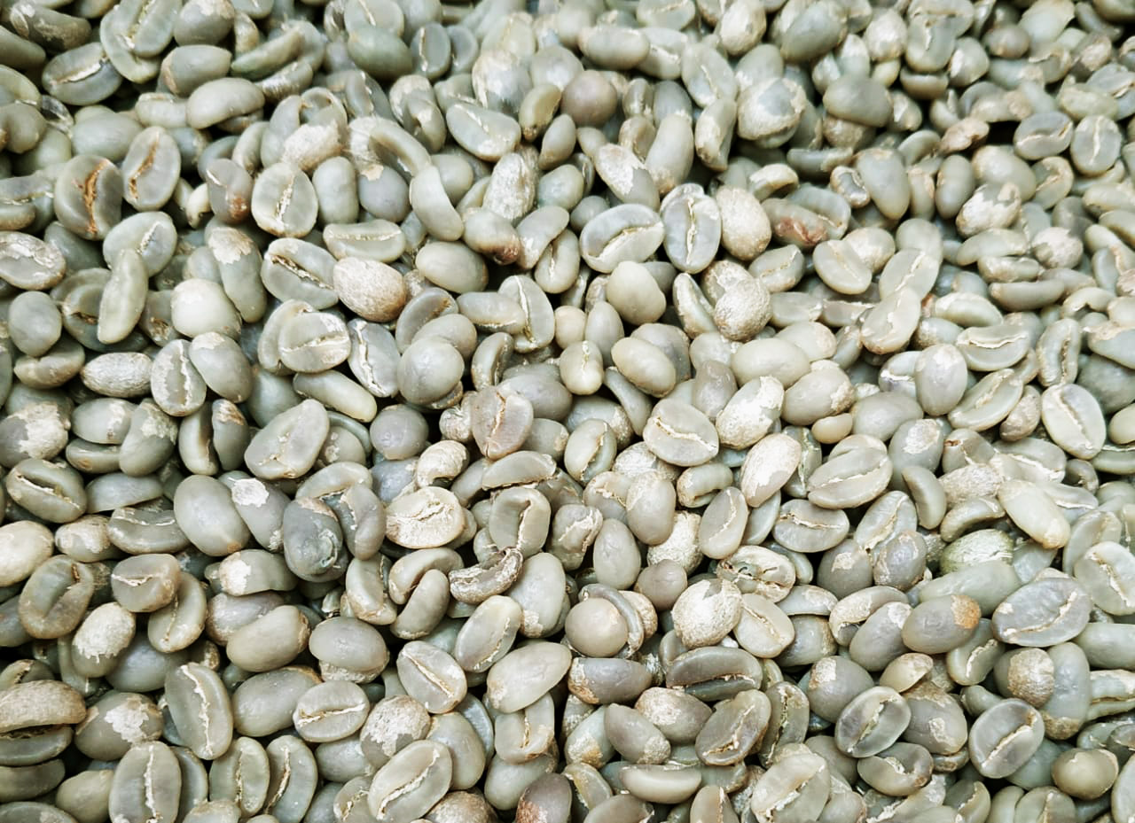 Arabica Gayo Full Wash Specialty | Inaexport