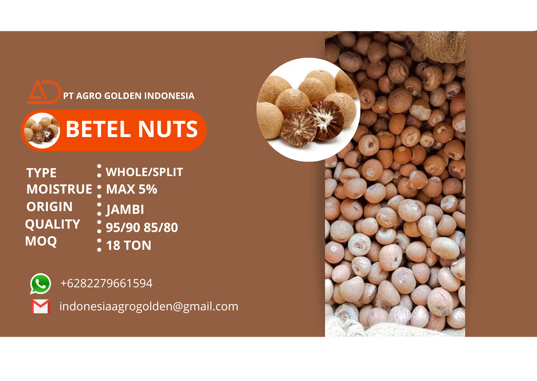 Betel Nut | Inaexport