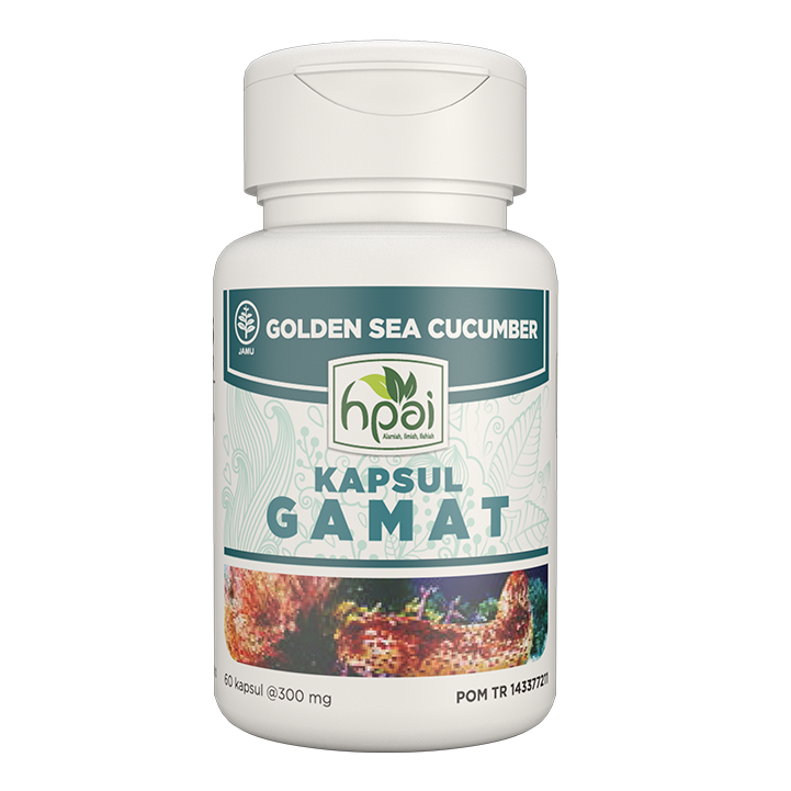 Gamat Capsule | Inaexport