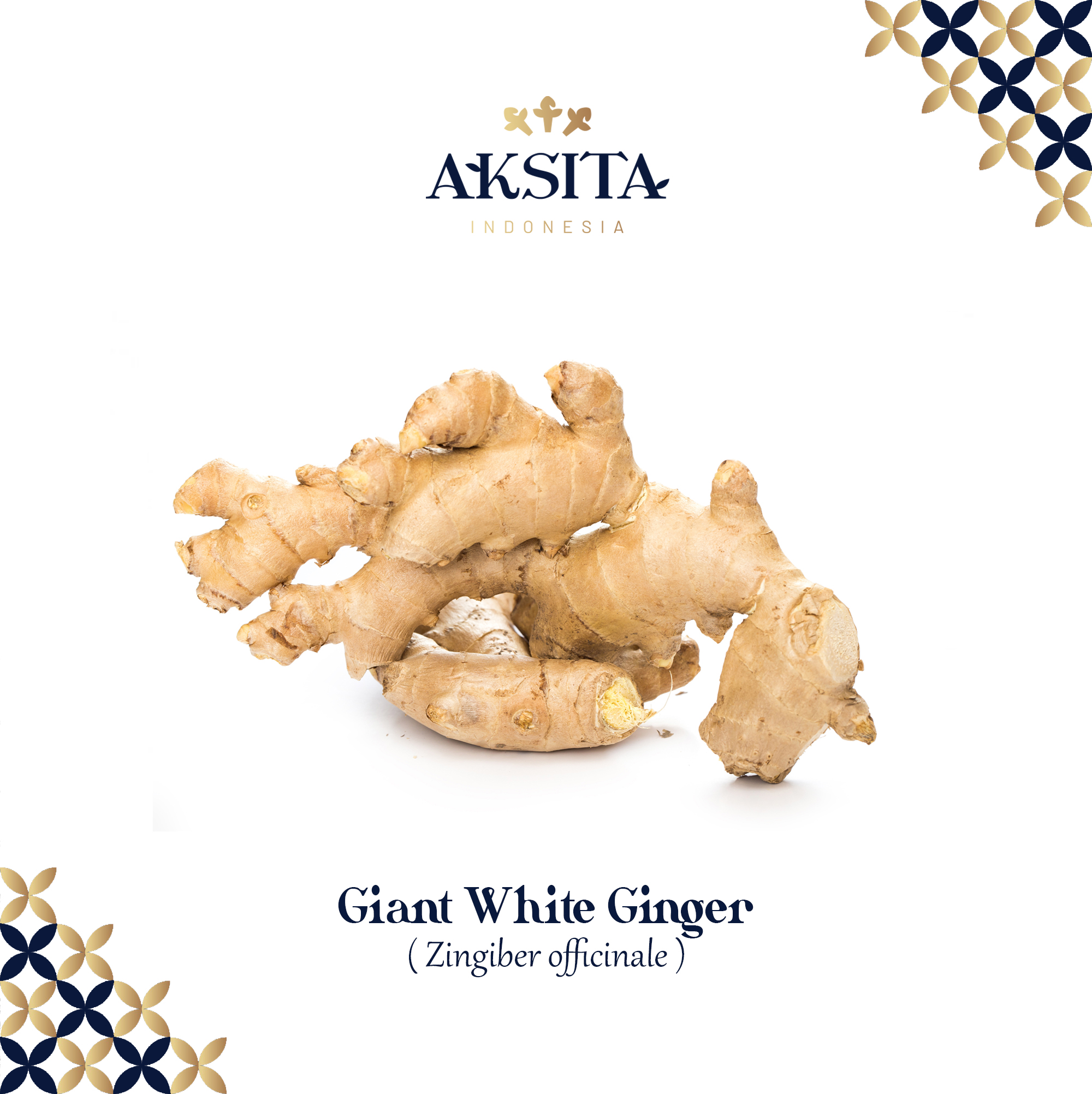 HIATOTO # Akses Cepat Situs Bandar Togel Online & Slot 4D Terpercaya Di ...